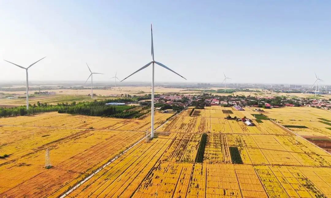 寰泰能源又一风电项目落地河北柏乡，总容量60MW - 会员风采 - 中国产业海外发展协会